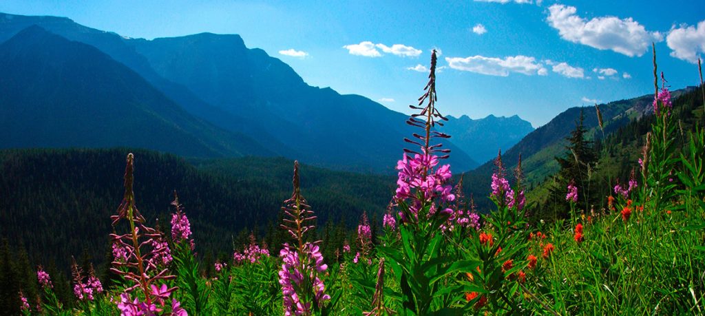 Montagnes Rocheuses – Nature Destinations / Destinations Nature